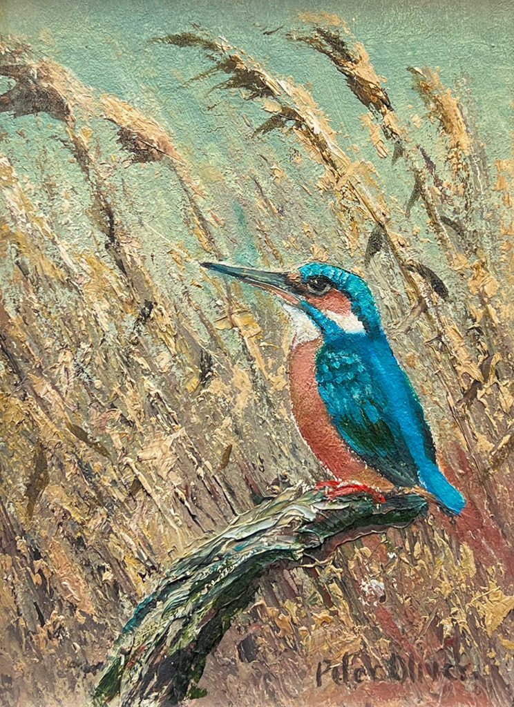 Peter Oliver - Kingfisher Original Painting for Sale